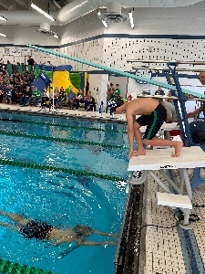 Hammerhead Swim Club Home